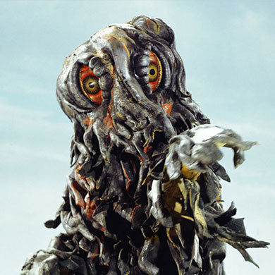 Hedorah - Aquatic & Flying Forms | Godzilla Monsterpedia