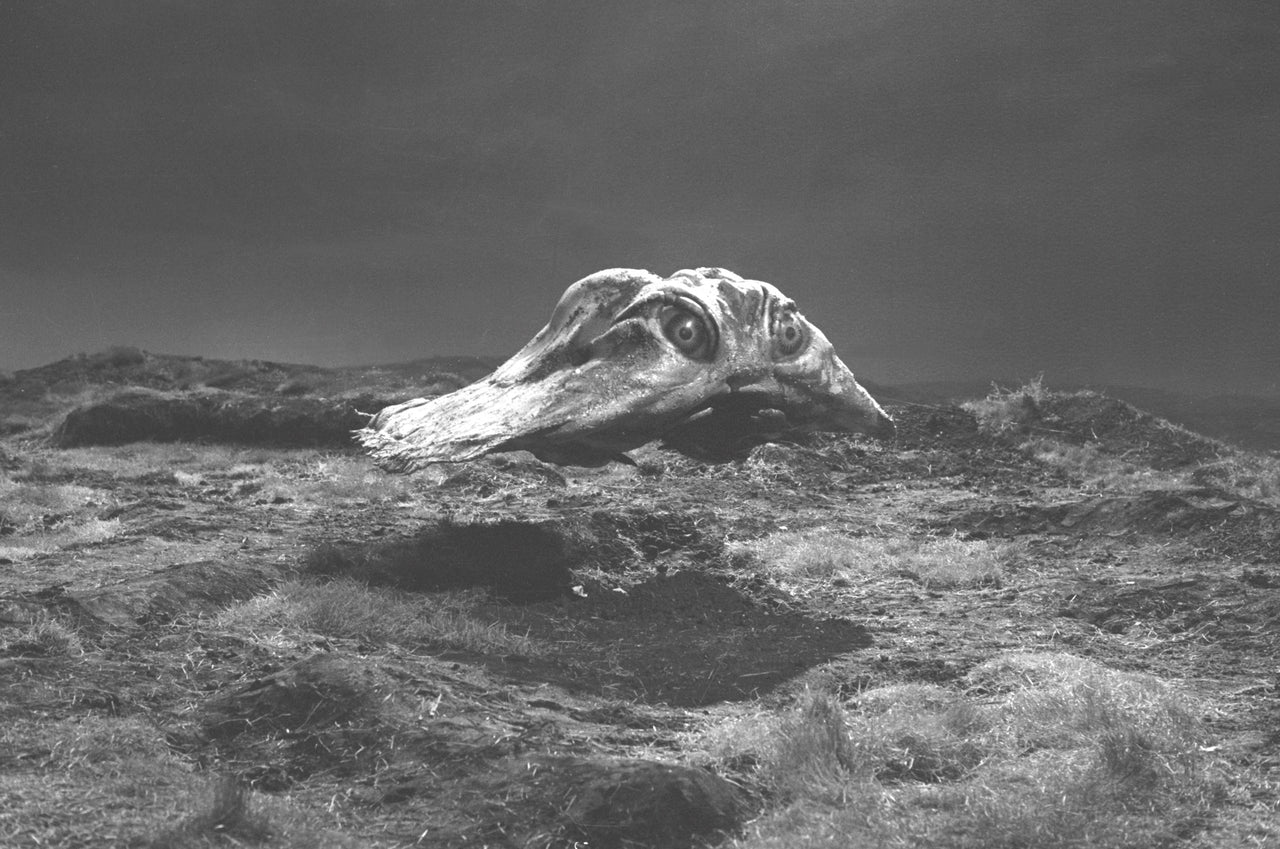 Hedorah - Aquatic & Flying Forms | Godzilla Monsterpedia