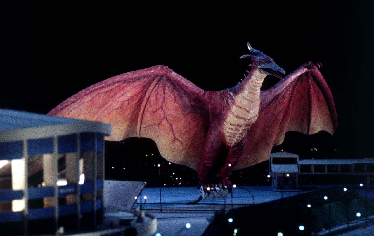Rodan the Flying Kaiju | Godzilla Monsterpedia