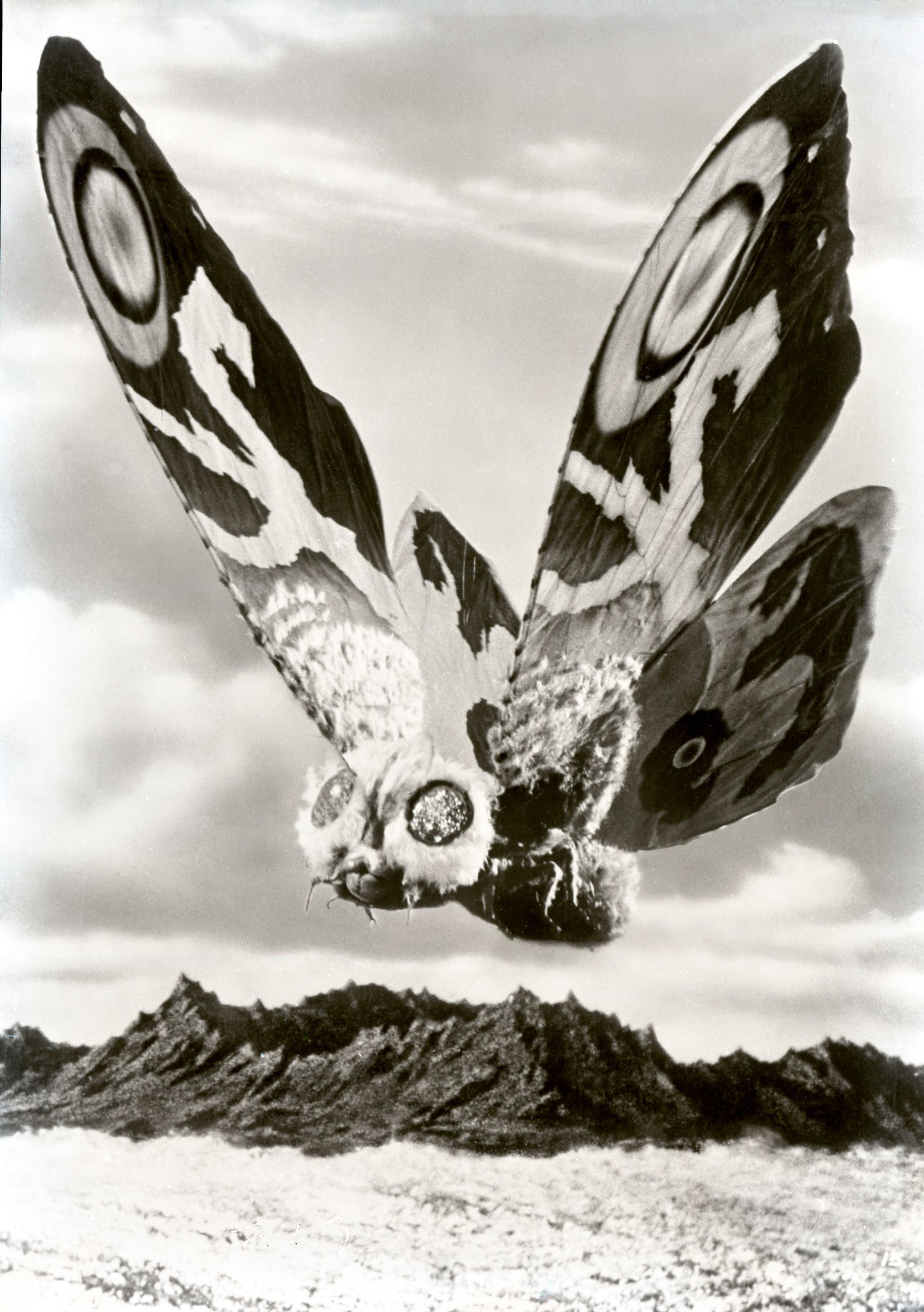 Mothra - Divine Kaiju & Ally of Earth | Godzilla Monsterpedia