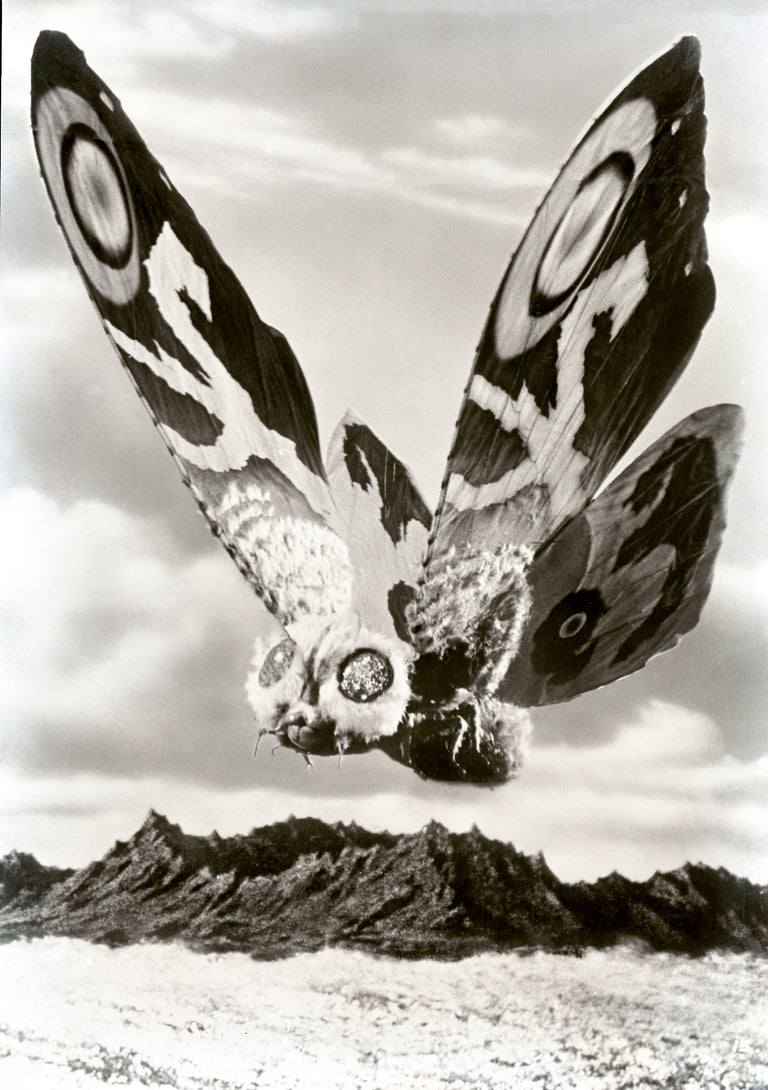 Mothra - Divine Kaiju & Ally of Earth | Godzilla Monsterpedia