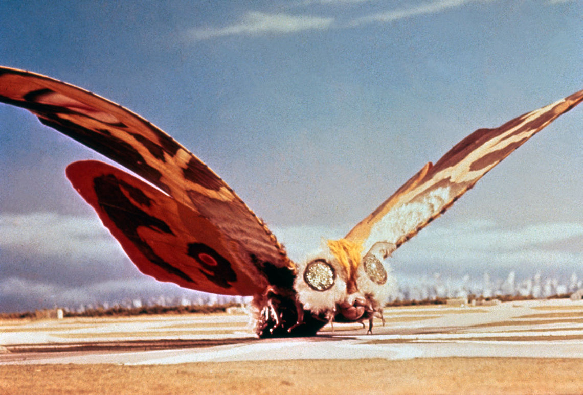 Mothra - Divine Kaiju & Ally of Earth | Godzilla Monsterpedia