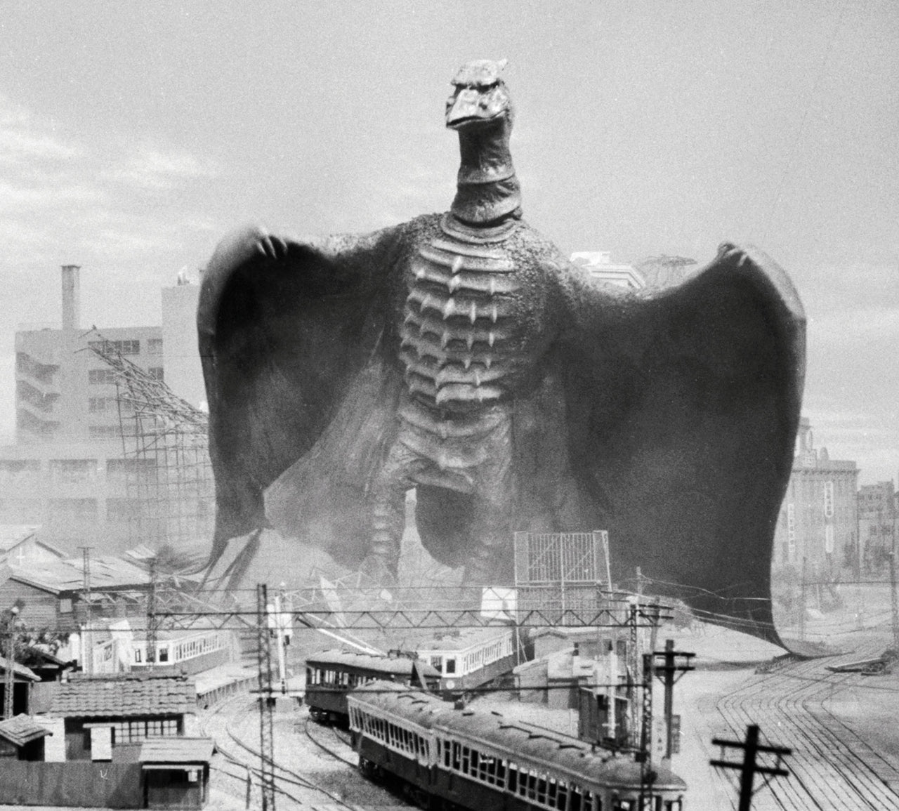 Rodan the Flying Kaiju | Godzilla Monsterpedia