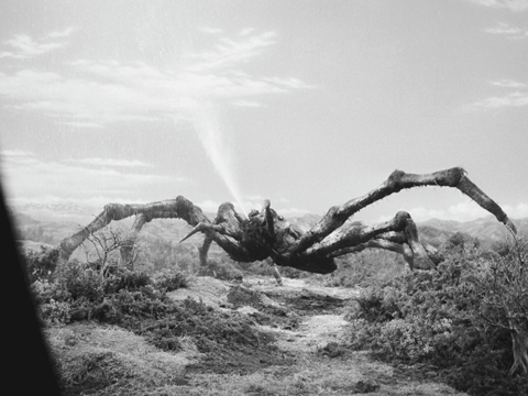 Kumonga - Spider Monster | Godzilla Monsterpedia